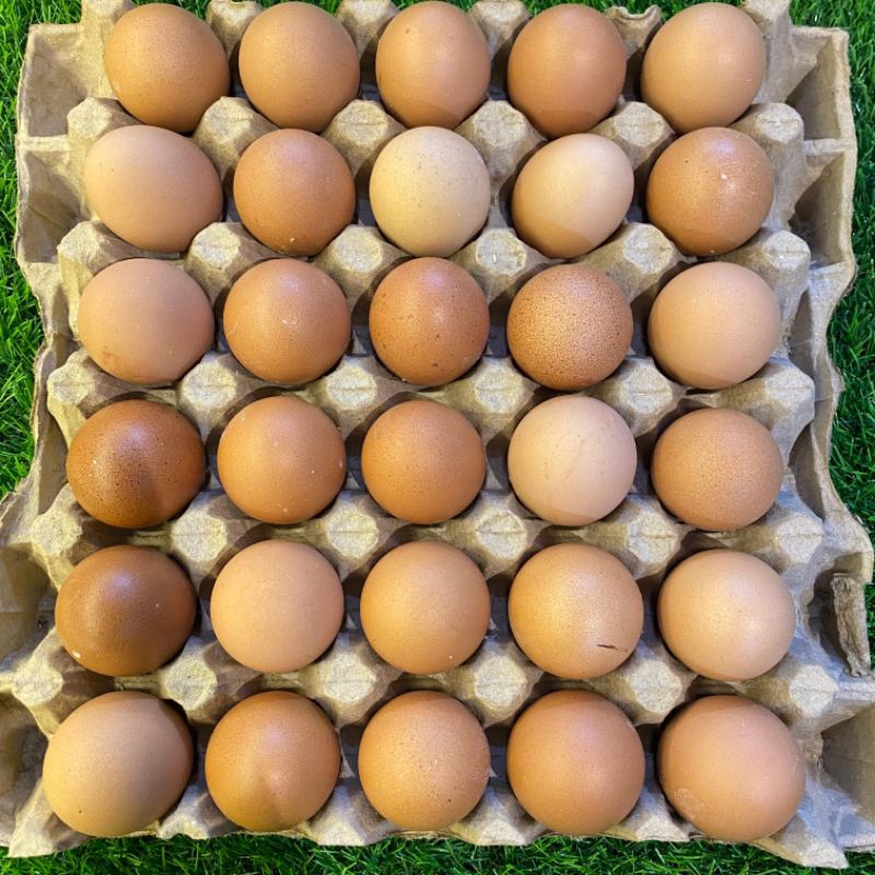 Jual Telur ayam ras | Shopee Indonesia