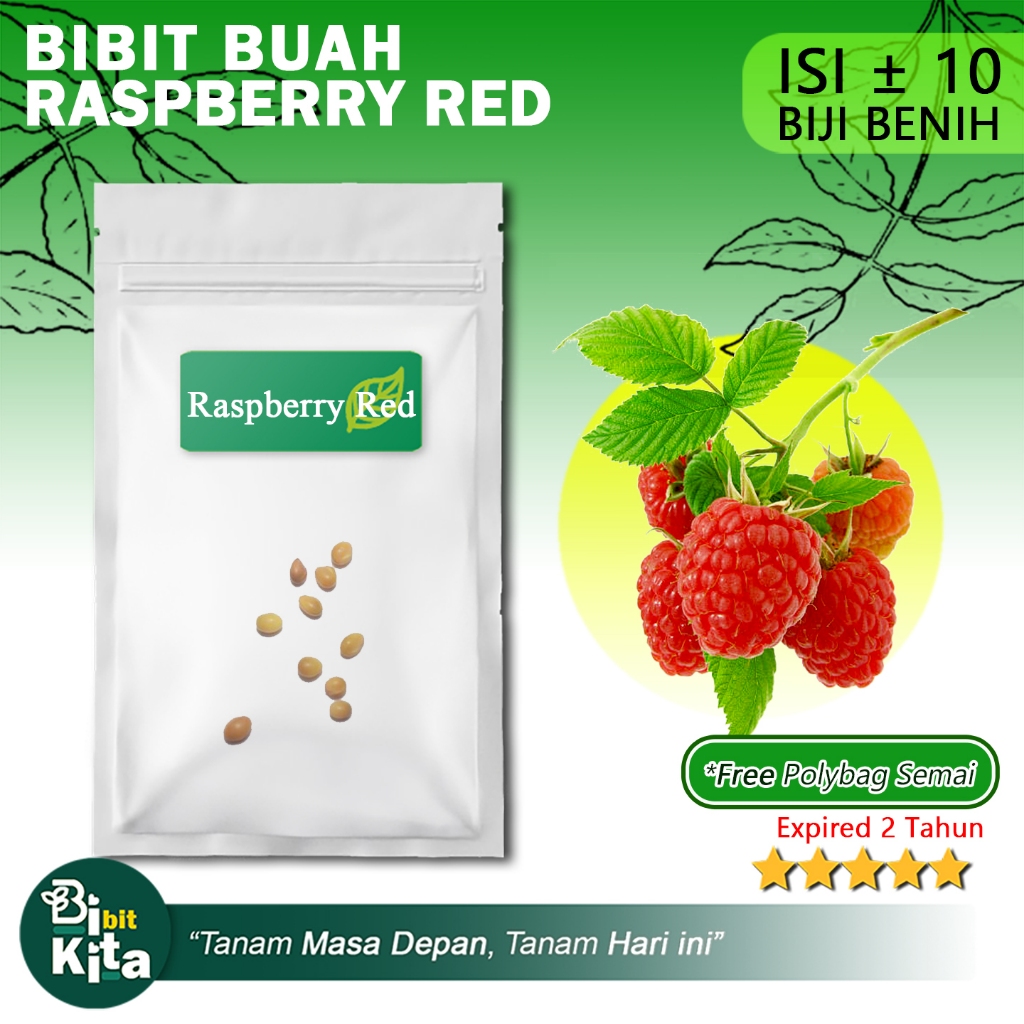 Jual Bibit Raspberry Red Biji Benih Tanaman Buah Sayuran Daun ...