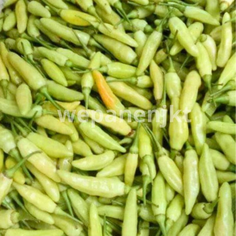 Jual Cabe Rawit Putih Ori/Panjang Per 1Kg | Shopee Indonesia