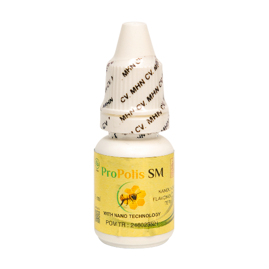 Jual Obat Penghilang Ketombe Berkerak Bersisik Menahun Jamur Kulit Psoriasis Kepala Propolis SM ...