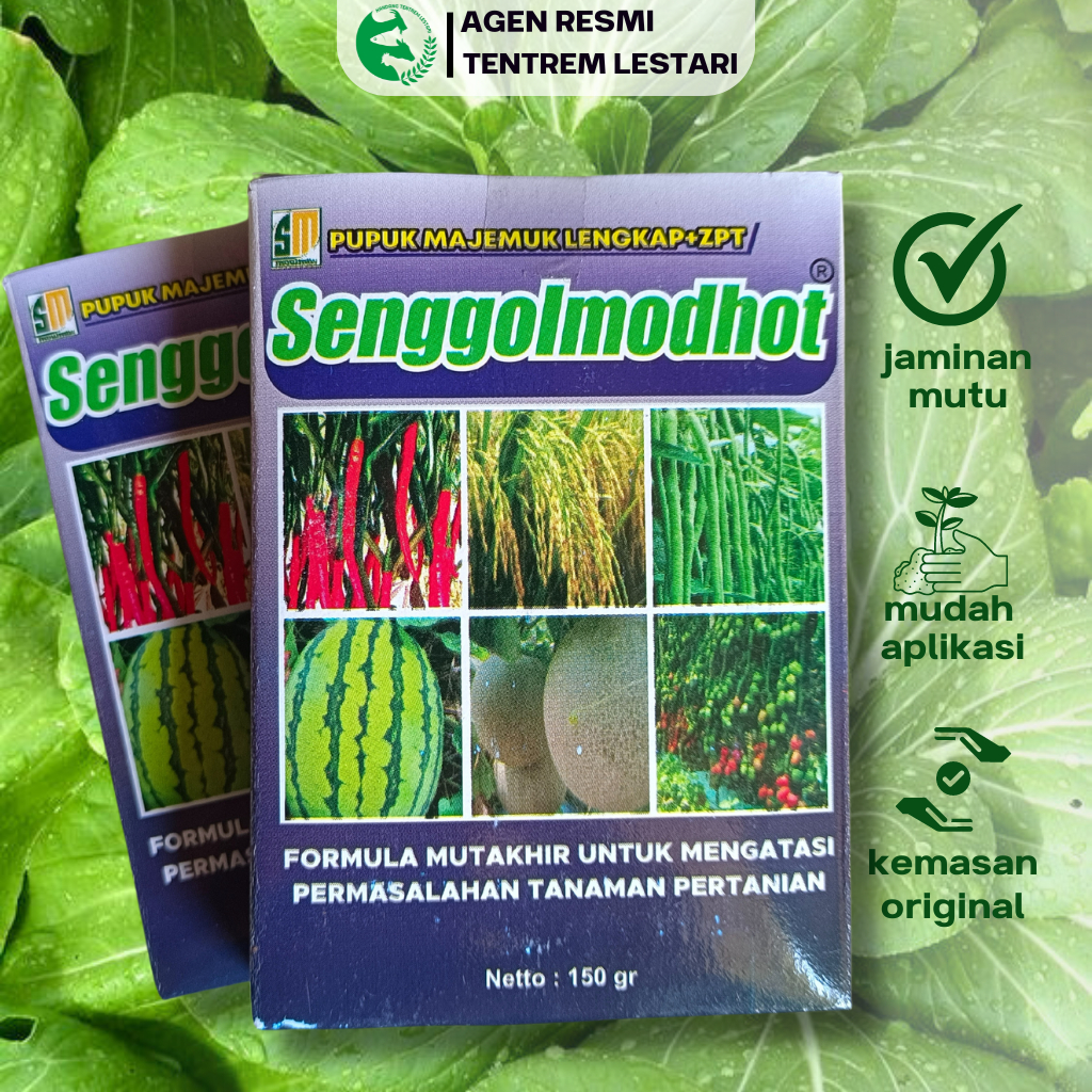 Jual SENGGOL MODOT 150 gr Pupuk Cu Organik Booster Buah Hormon Tanaman ...