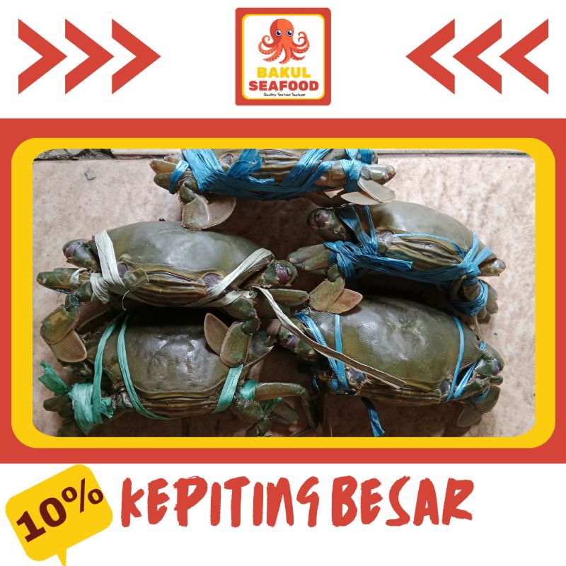 Jual KEPITING BESAR 500GR-1000GR | Shopee Indonesia