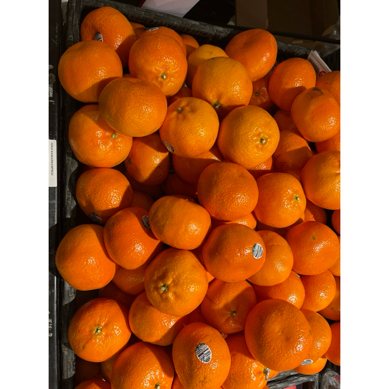 Jual JERUK MANDARIN EMPRESS 900G-1.000G | Shopee Indonesia