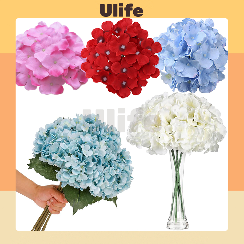 Jual Bunga Hydrangea Hortensia / Bulat Jumbo 1Kuntum Premium ...