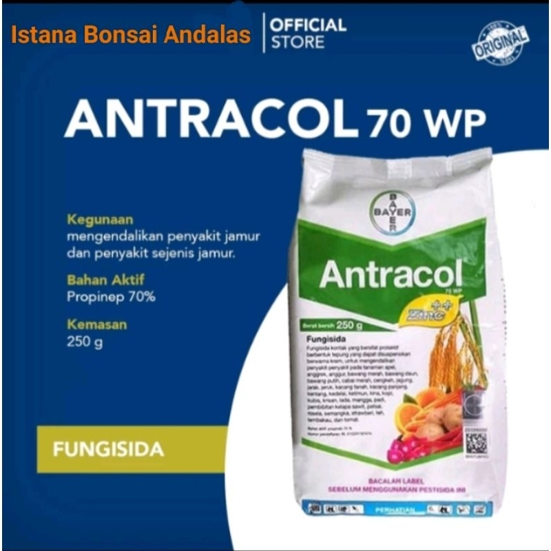 Jual FUNGISIDA ANTRACOL 70 WP + Zinc Fungisida Tanaman Premium(250gr) | Shopee Indonesia