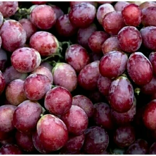 Jual Anggur 1 Kg Terlengkap & Harga Terbaru Maret 2025 | Shopee Indonesia