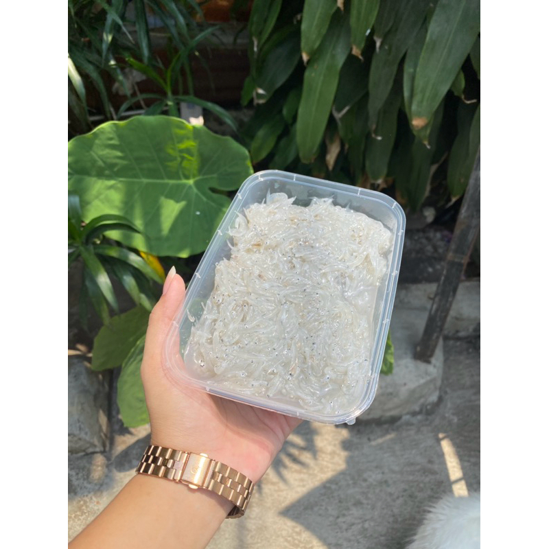 Jual Ikan Teri Nasi Basah Tawar untuk LAUK MPASi (BISA SAMEDAY ...