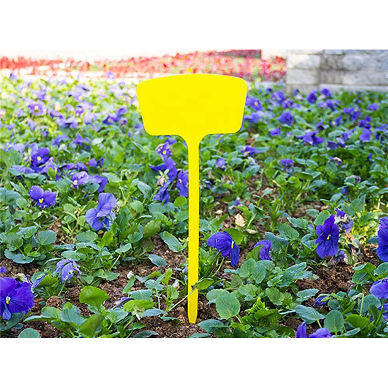 Jual Yellow Tag Besar PVC Plastik Label Nama Tanaman Hias Pohon Semai ...