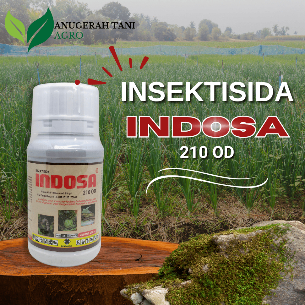 Jual Insektisida INDOSA 210 OD Indosacarb 210 g/l Pembasmi Ulat Grayak ...