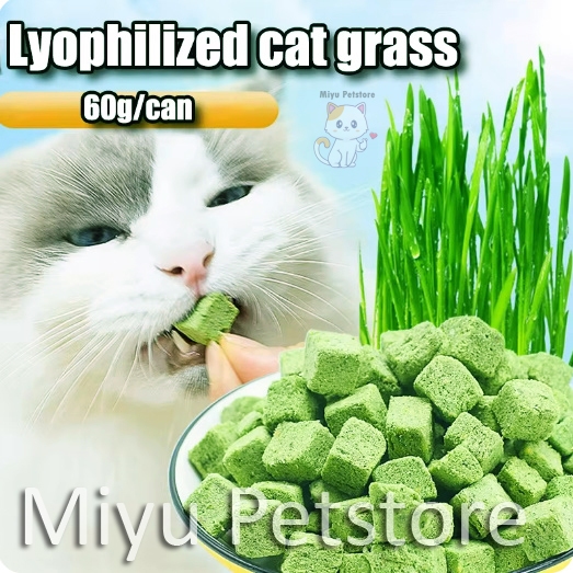 Jual Snack Rumput Kucing Snack Rumput Beku Cat Grass Dadu Snack ...