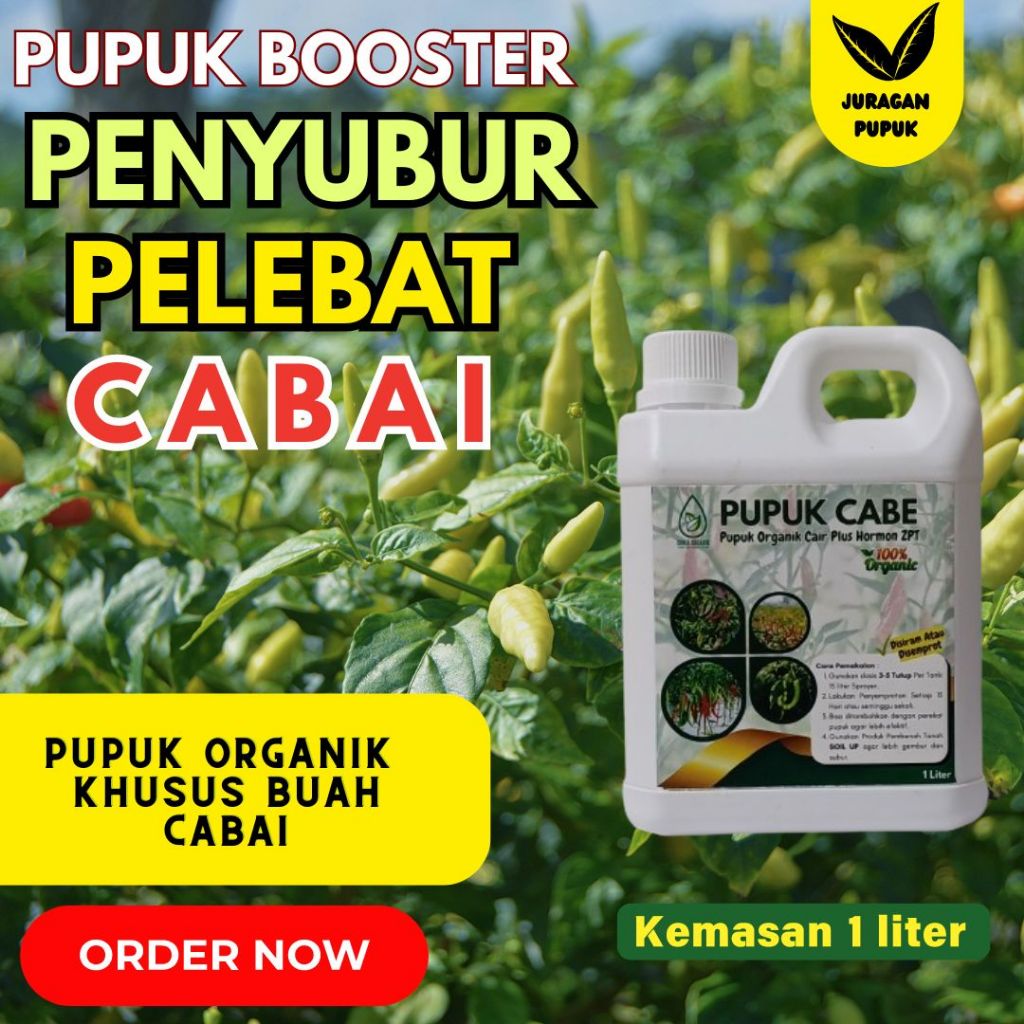 Jual Pupuk Buah Lebat Tanaman Cabai Pupuk Organik Cair Pelebat dan Penyubur Tanaman Cabai ...
