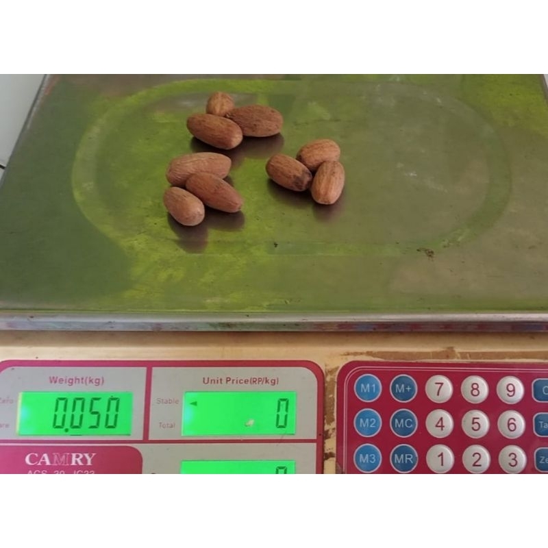 Jual Biji Pala Lonjong per 50 gram | Shopee Indonesia