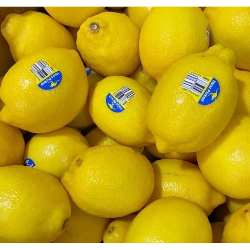 Jual Lemon Australia | Lemon Super 1 Kg | Shopee Indonesia