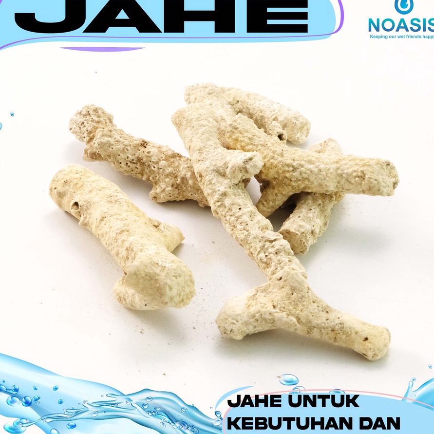 Jual MALL KARANG JAHE MEDIA UNTUK RIUM SCAPE HIDROPONIK 1 KG | Shopee Indonesia