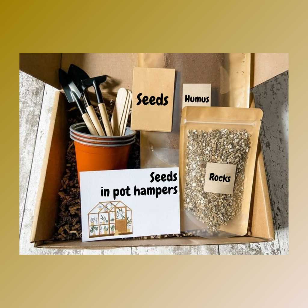 Jual HAMPER TANAMAN / HAMPERS WISUDA / KADO TEMAN / KADO ULTAH / KADO ...