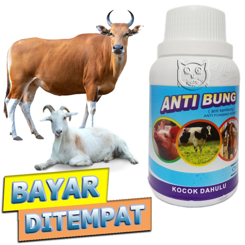 Jual Anti Bung Obat Mencret Diare Sapi Kambing Domba Kerbau Pencernaan ...