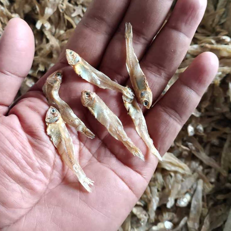 Jual Teri tawar / teri tawar bunga kering tanpa garam kualitas super ...