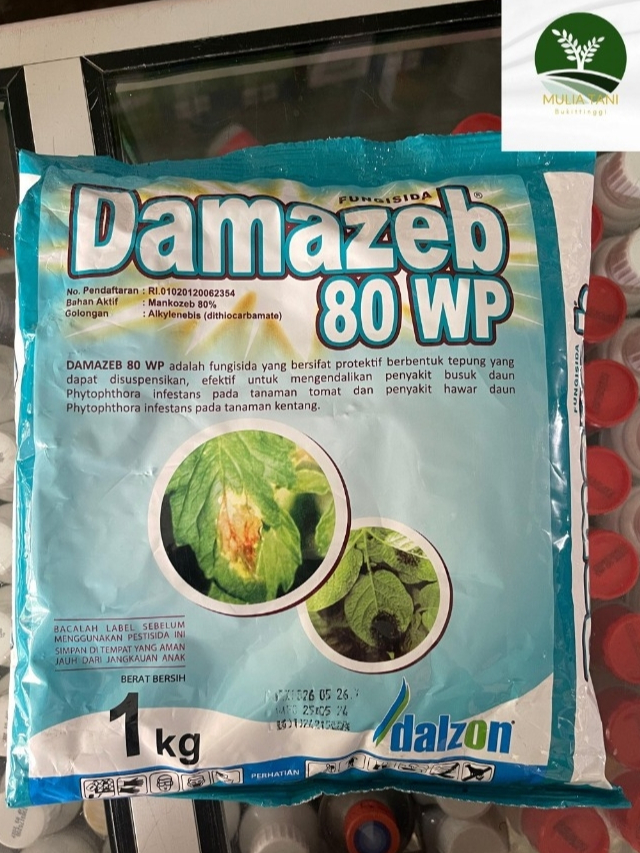 Jual Damazeb Kuning 1 KG | Shopee Indonesia
