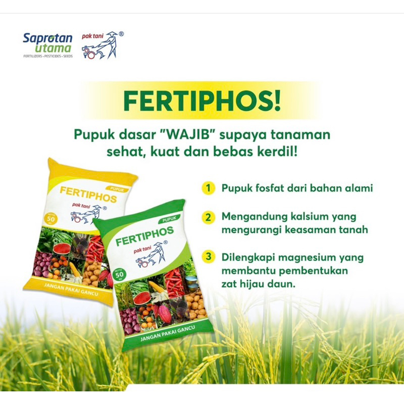 Jual pupuk fertiphos repack 500gr (fosfat kalsium magnesium) | Shopee ...