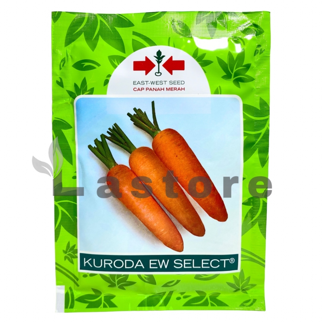 Jual Benih Wortel KURODA EW SELECT Isi 3500 Butir Cap Panah Merah ...