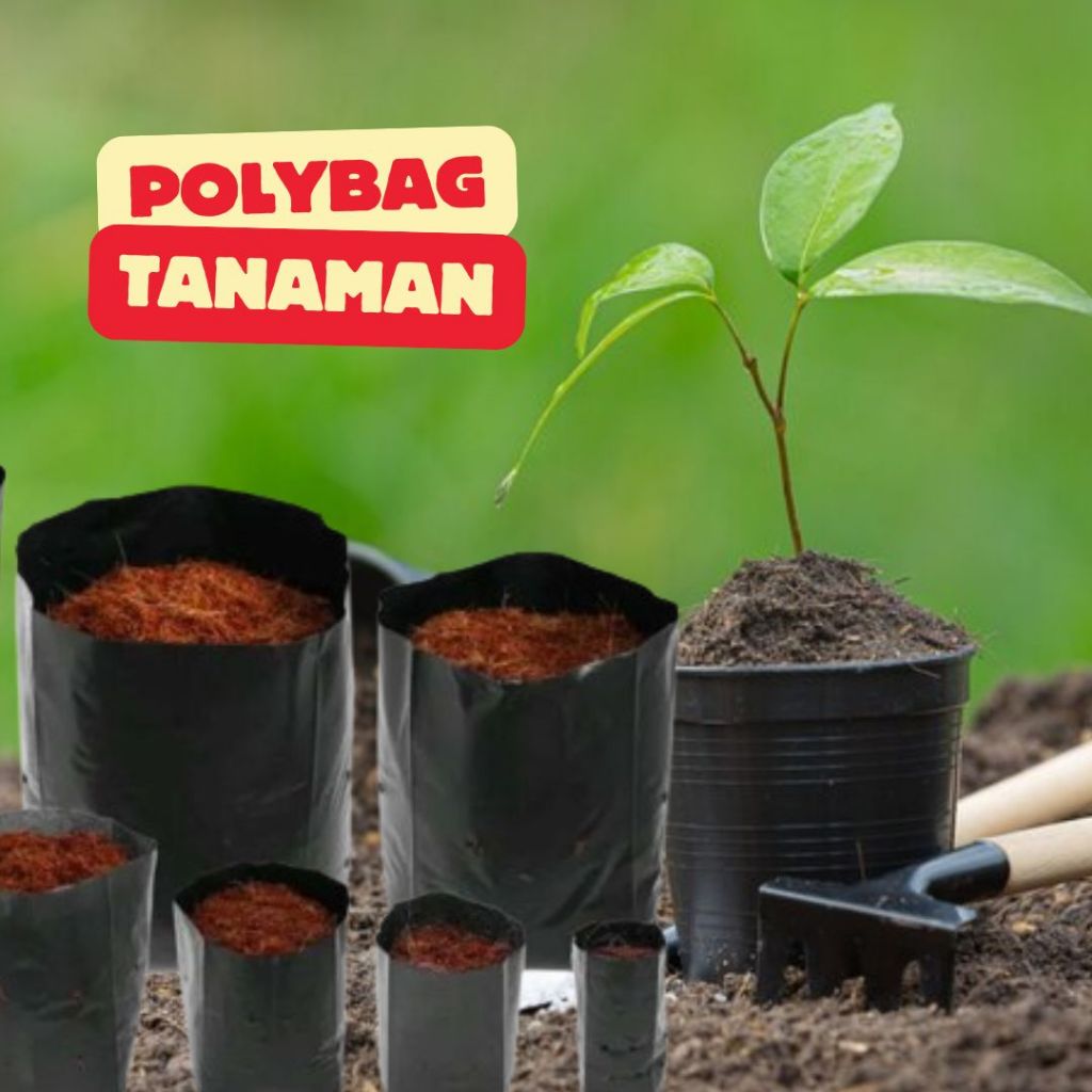 Jual Polibag Tanaman ukuran 30x30 cm untuk semua Jenis Tanaman | Shopee ...