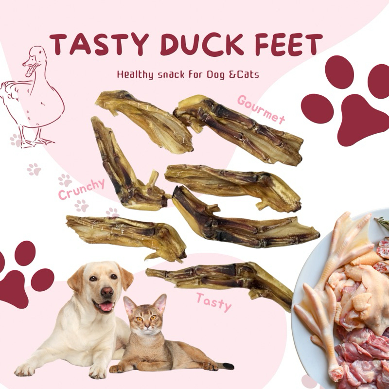 Jual Duck Feet Jerky Snack Hewan Anjing Kucing Kaki Bebek Lula Doggery ...