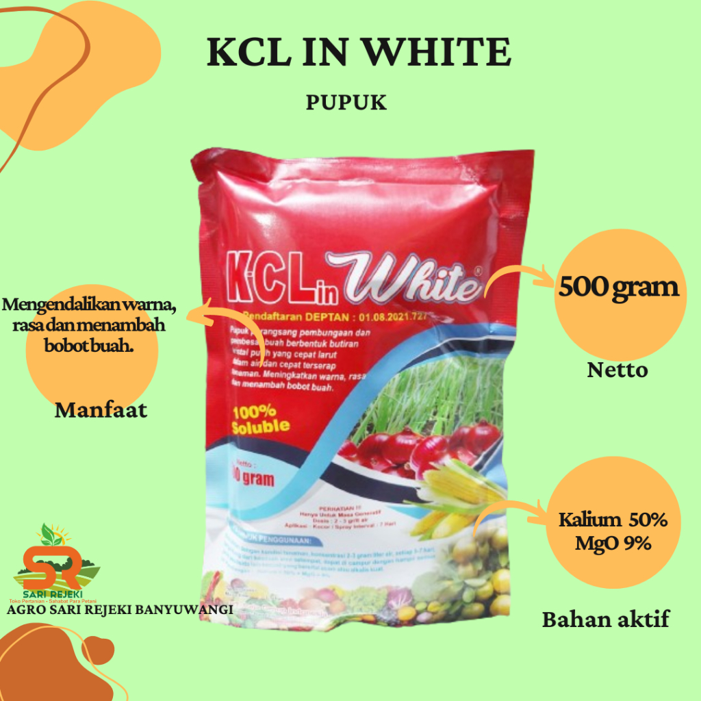 Jual KCL IN WHITE 500 GRAM PUPUK perangsang pembungaan dan pembesar ...