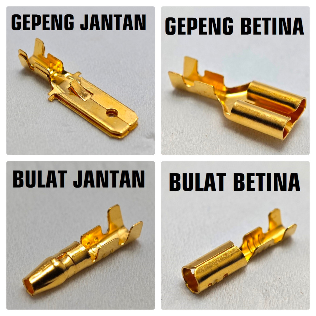 Jual SKUN TERMINAL bulat gepeng jantan betina male female cowok cewek ...