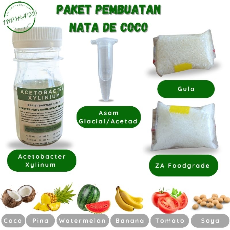 Jual Paket Bibit Starter Nata De Coco / Acetobacter Xylinium untuk 1 ...