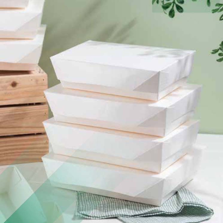 Jual Paper Lunch Box Laminasi Putih (25 pcs) | Shopee Indonesia