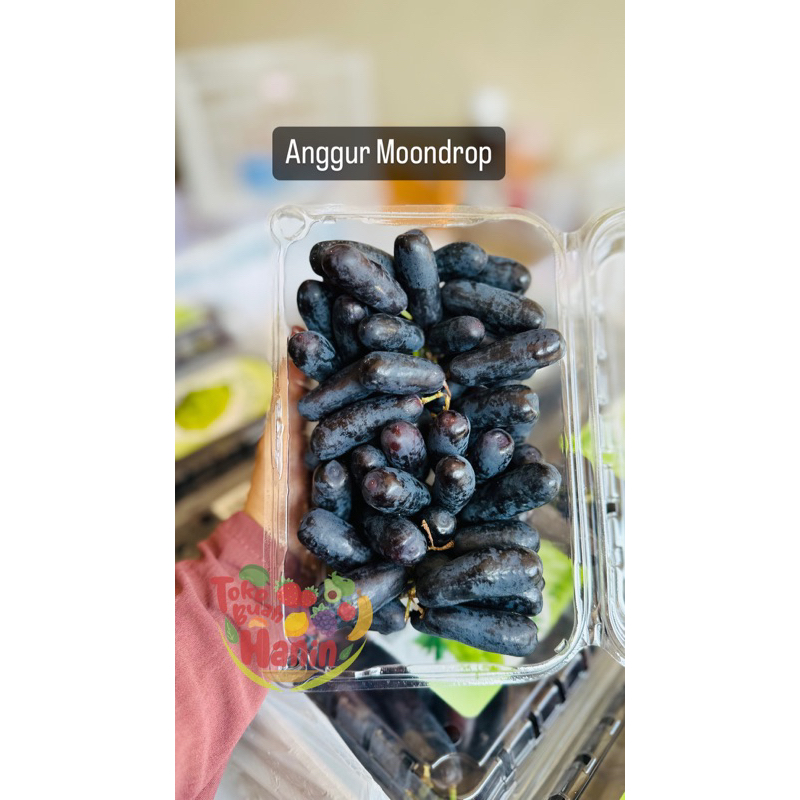 Jual ANGGUR JARI/ANGGUR MOONDROP/ TOKO BUAH HANIN | Shopee Indonesia