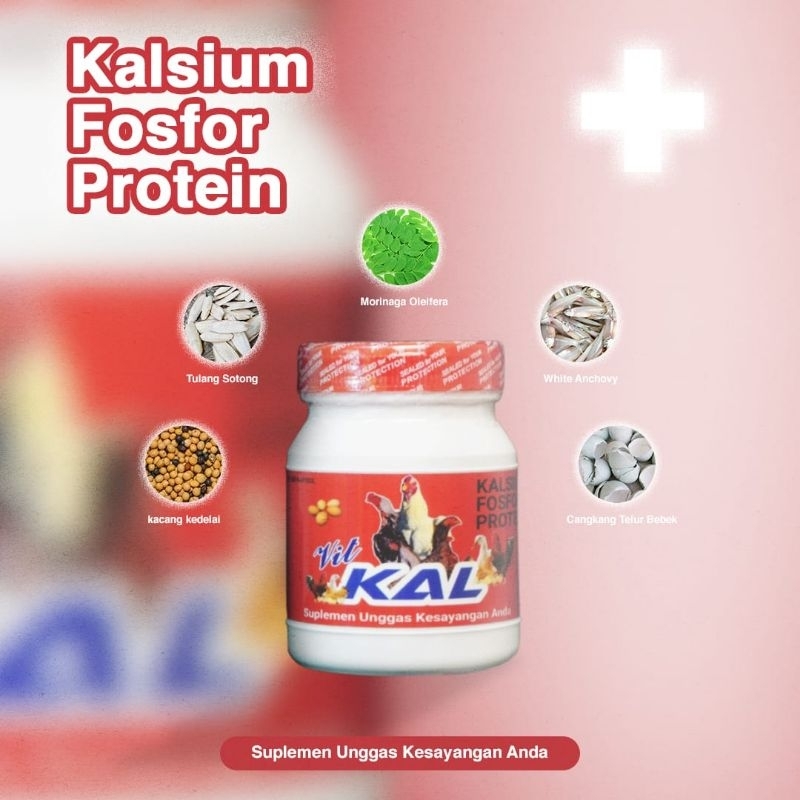 Jual VIT-KAL (SUPLEMEN KALSIUM AYAM DAN UNGGAS ) ISI 100 KAPSUL ...