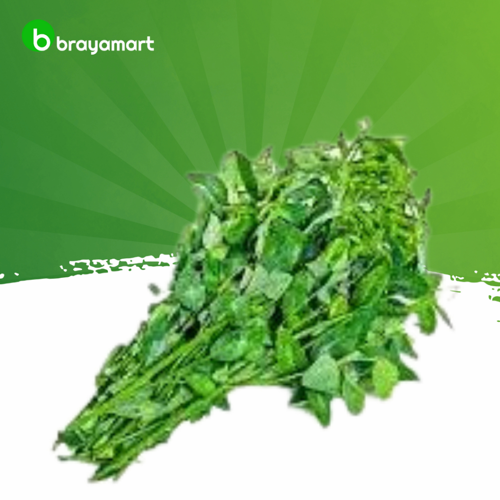 Jual Daun katu Per Ikat Brayamart | Shopee Indonesia