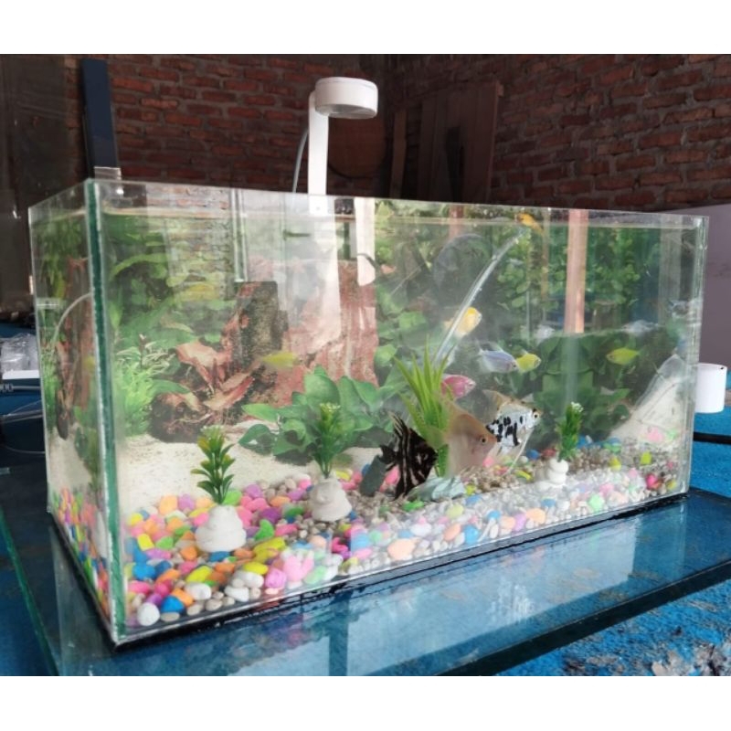 Jual aquarium BEGRON wallpaper ukuran 30X15X15 | Shopee Indonesia