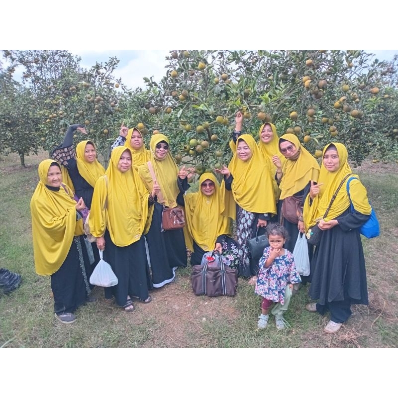 Jual Jeruk Baby Java/Jeruk Manis/Jeruk Peras 5 Kg | Shopee Indonesia