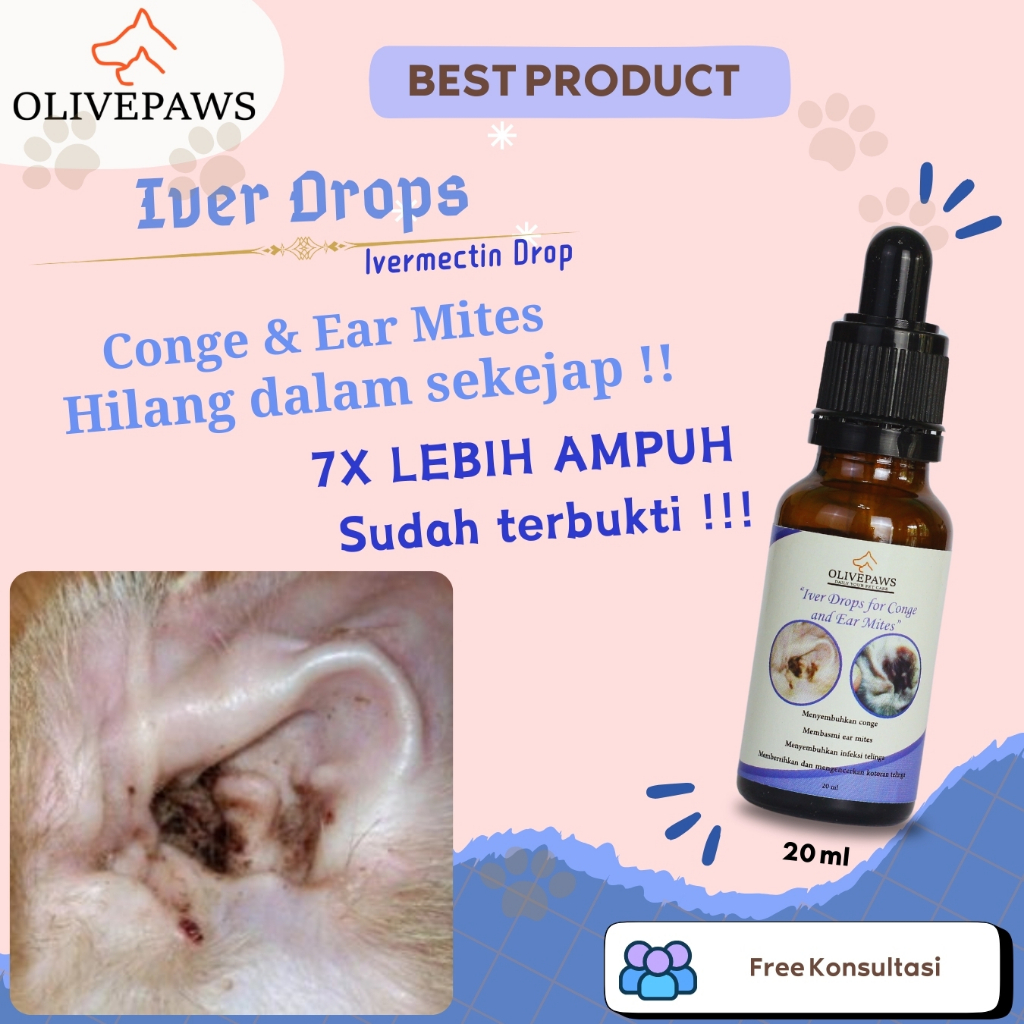 Jual OLIVEPAWS IVERDROPS Obat Tetes Kutu Telinga Kucing Anjing ...