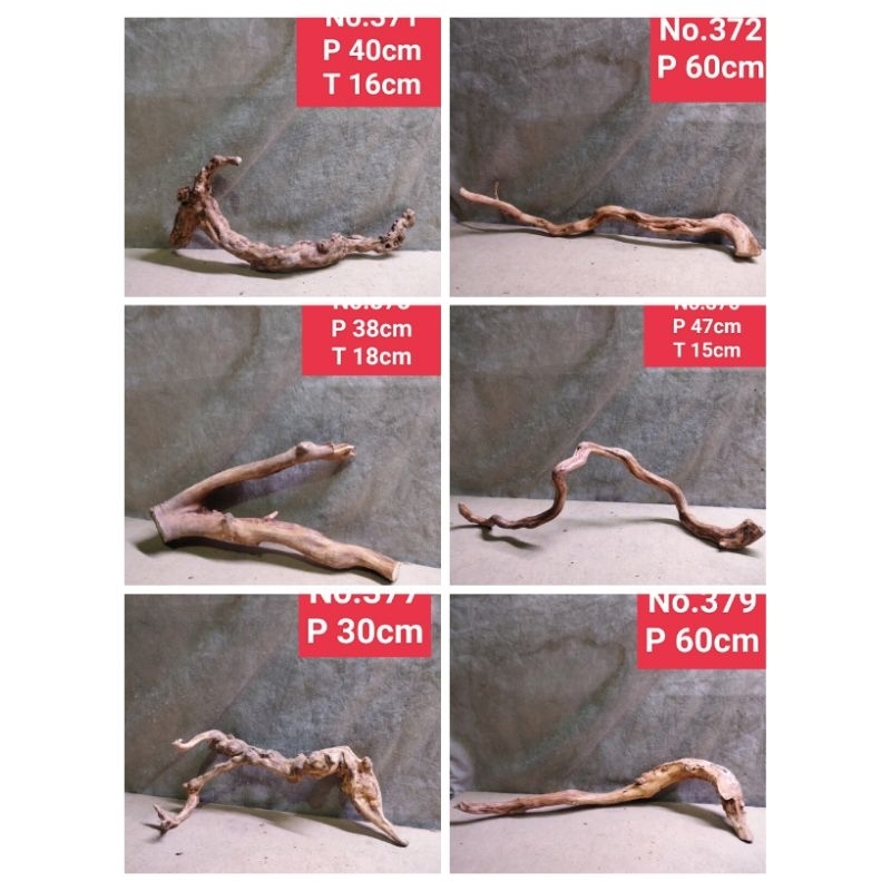 Jual bonggolan akar Rasamala akar aquarium aquascape 371 SD 380 ...