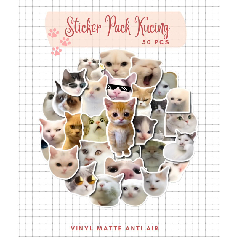 Jual Sticker Pack Meme Kucing Aesthetic Paper Vinyl Waterproof Dekorasi ...
