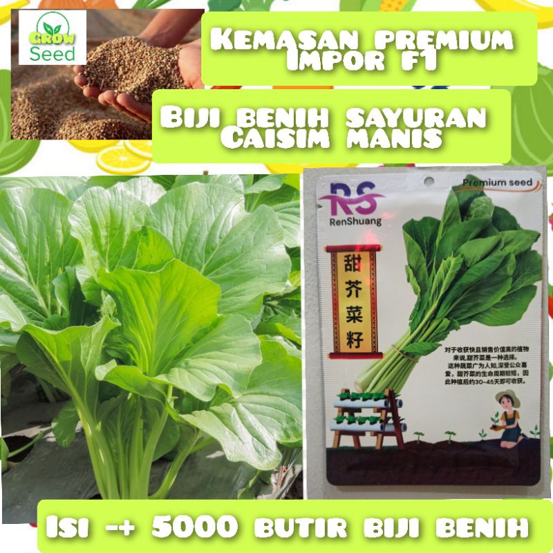 Jual kemasan premium biji benih caisim manis impor f1 | Shopee Indonesia