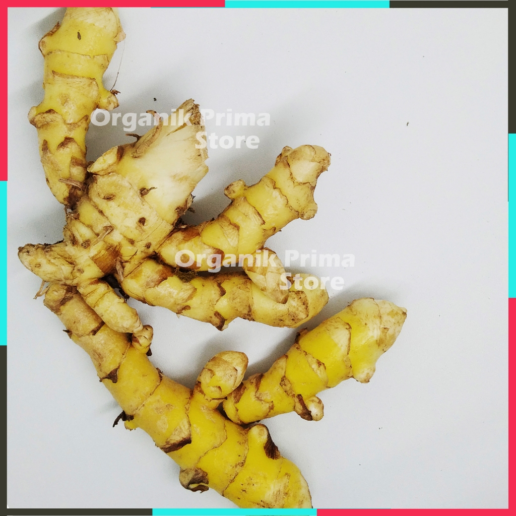 Jual Temu Giring Segar Asli dan Organik | Shopee Indonesia