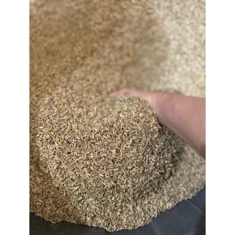 Jual [ 1 KG ] Jintan Kasar / Jintan Manis / Jila Manis | Shopee Indonesia