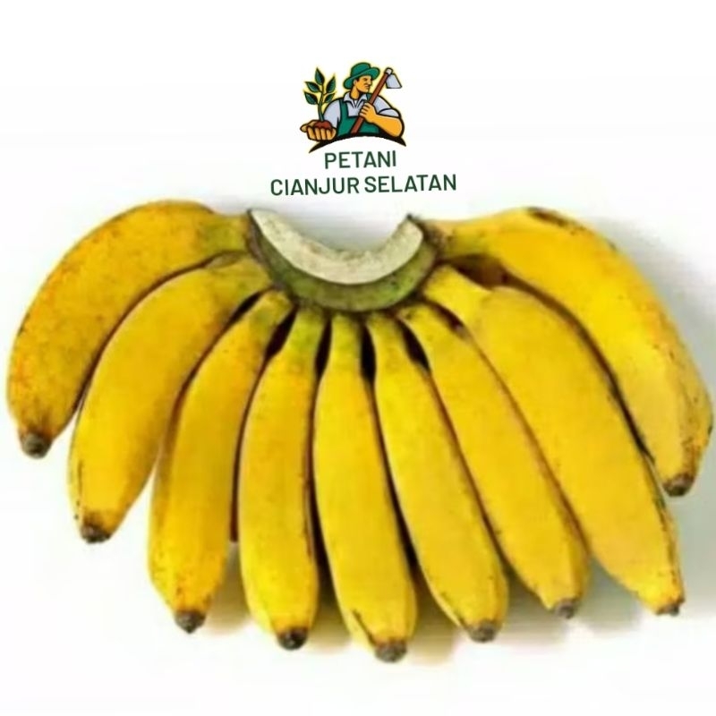 Jual 1kg Pisang Raja Bulu Super | Pisang Raja Madu | Pisang Raja KUL ...