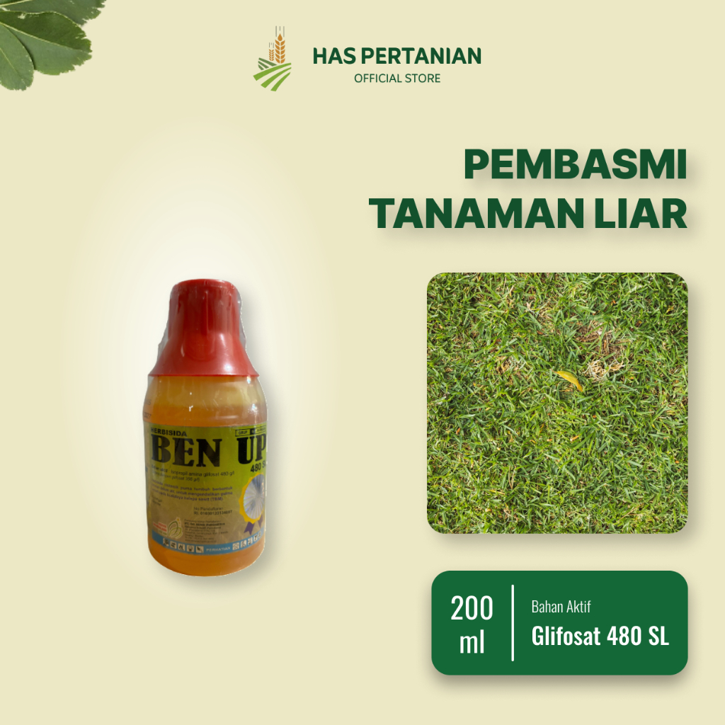 Jual Ben Up 200 ml - Pembasmi Rumput Sampai Akar | Shopee Indonesia