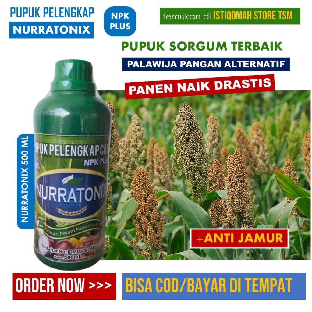 Jual PUPUK NPK Plus Anti Jamur Tanaman Sorgum Lebat dan Padat - Pupuk Organik Semprot Sorgum ...