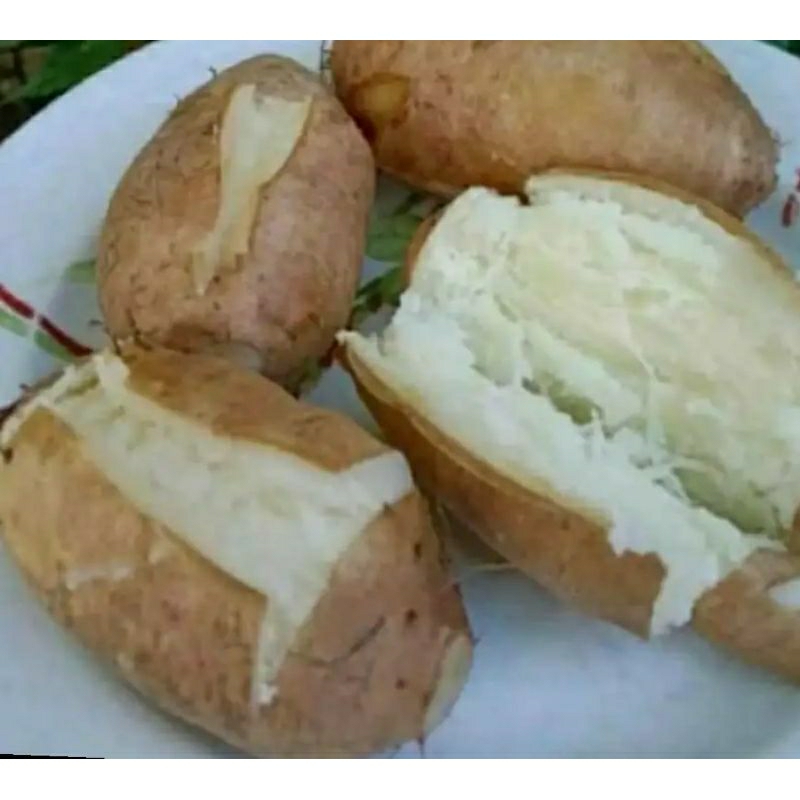 Jual gembili atau bili 20.000 sekilo | Shopee Indonesia