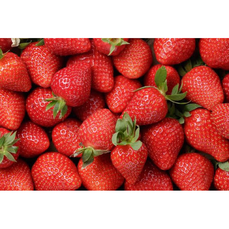 Jual strawberry / stoberi 250gram | Shopee Indonesia