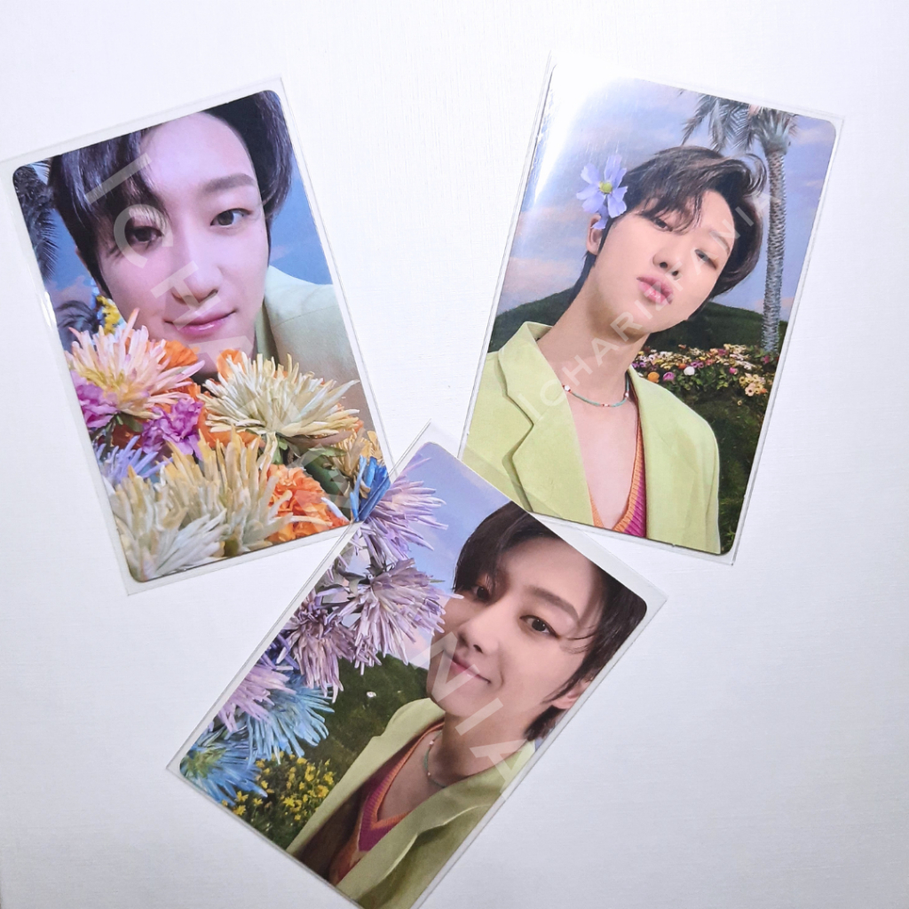 Jual [AAB SEVENTEEN] SVT HOTEL KIT SECTOR 17 HAO BALI THE8 SCOUPS DINO ...