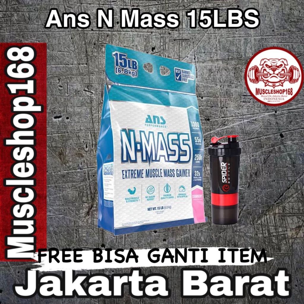 Jual ANS N Mass Gainer 15 Lbs | Shopee Indonesia
