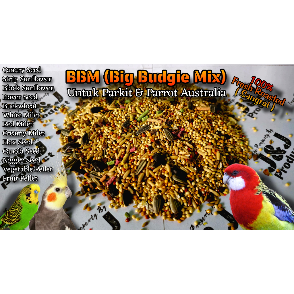 Jual Budgie Buddy Mix 1kg - BBM JJ Premium Seed Pakan burung falk ...