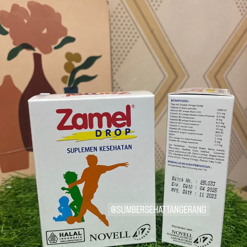 Jual Zamel Drop 15mL multivitamin anak cegah stunting 1-6thn | Shopee ...